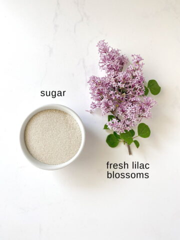 Lilac Sugar - Live to Sweet